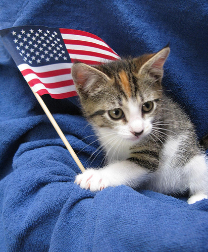 Religious Freedom — For Everyone – Old Life